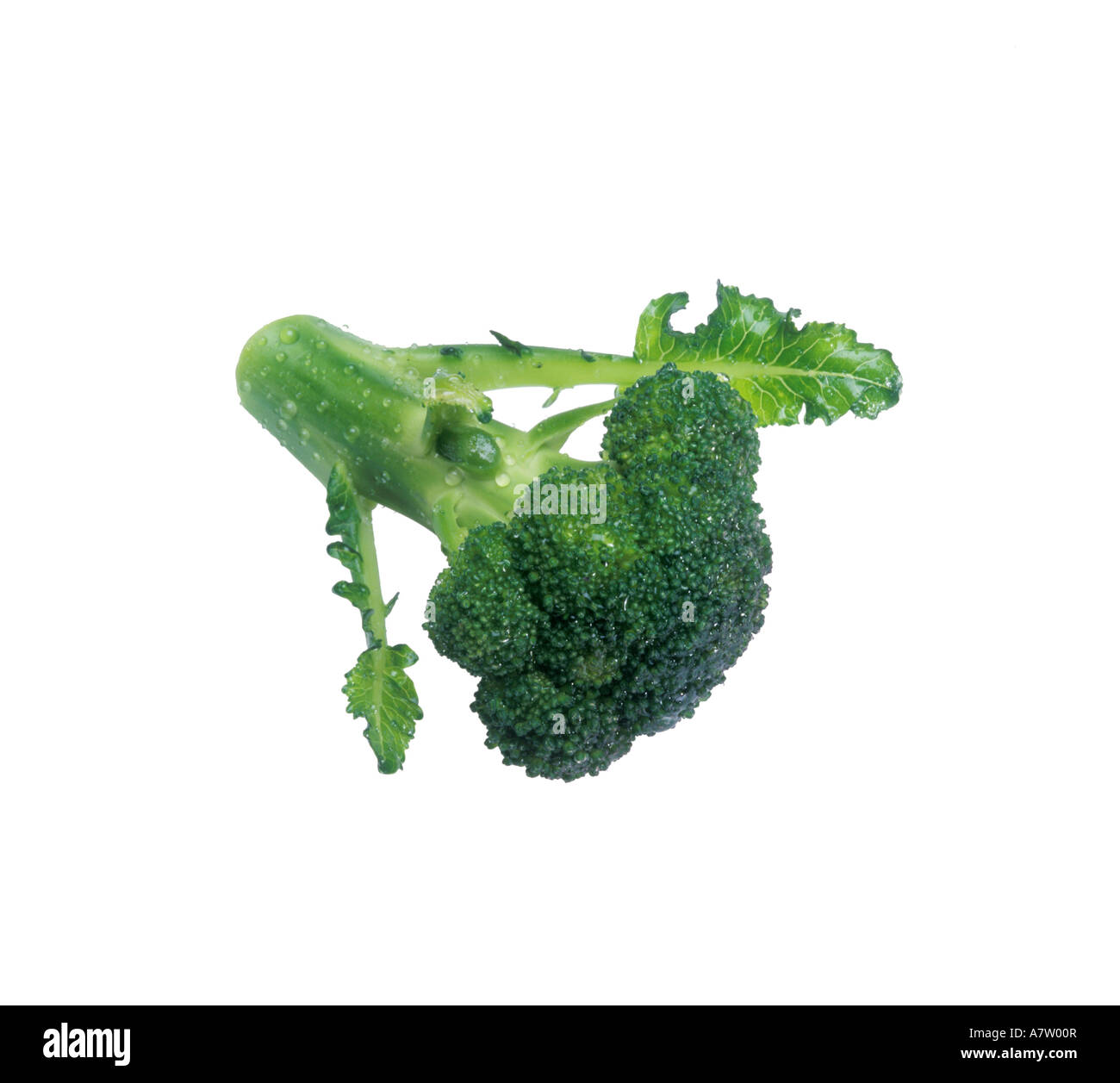 Brassica range Cut Out Stock Images & Pictures - Alamy