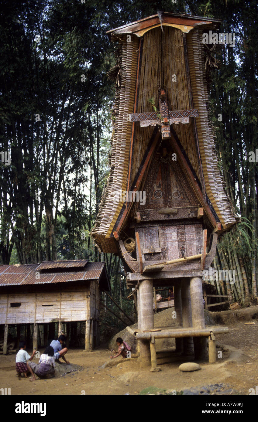 Tongkonan typical house from Torajaland Tana Toraja Sulawesi Indonesia ...