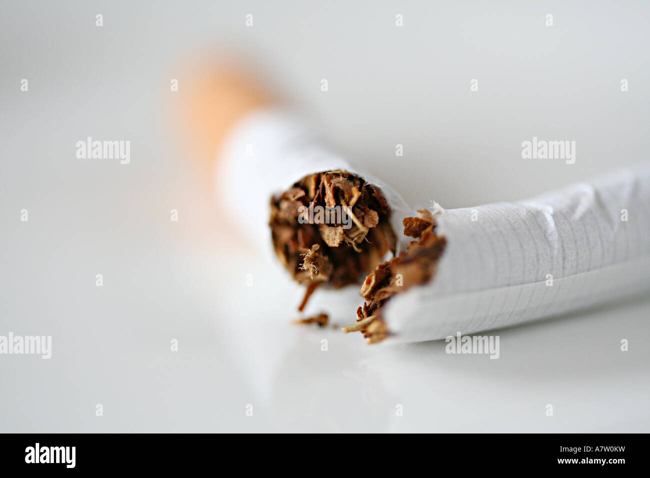 Close-up of broken cigarette Stock Photo - Alamy