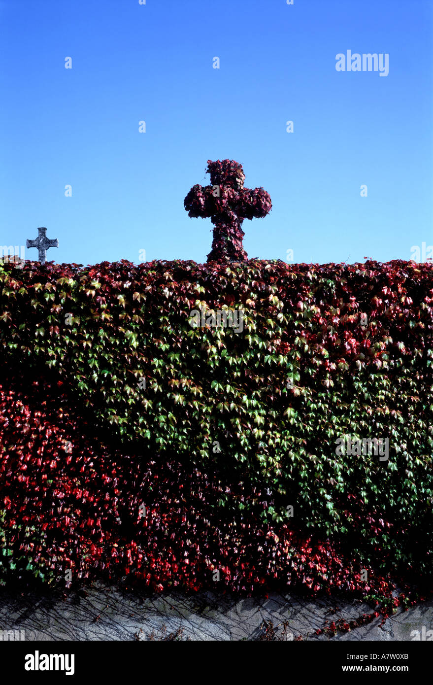 Morgon, beaujolais hi-res stock photography and images - Alamy