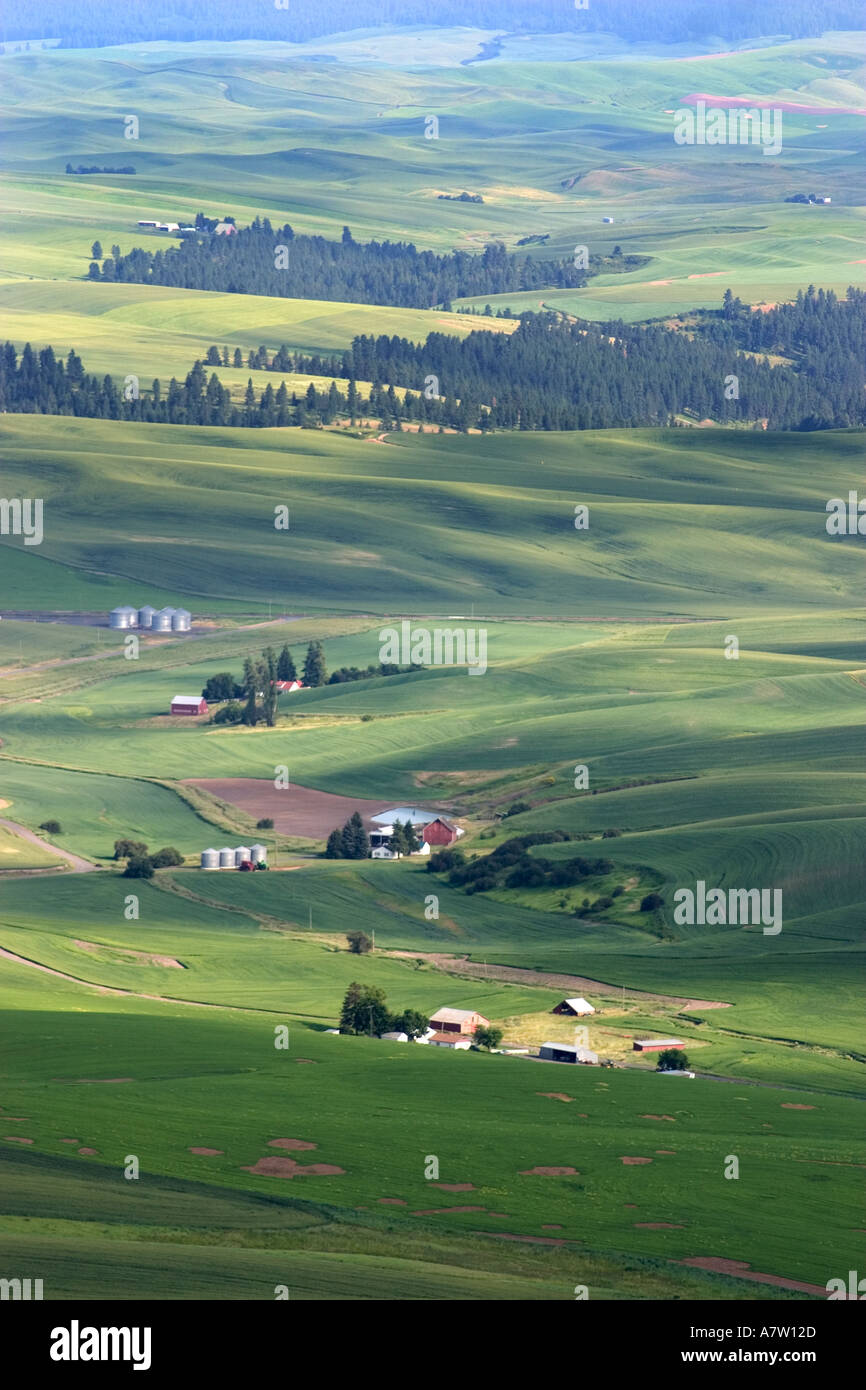 This scene shows a wheat farm fields barns grain bins and trees Stock ...