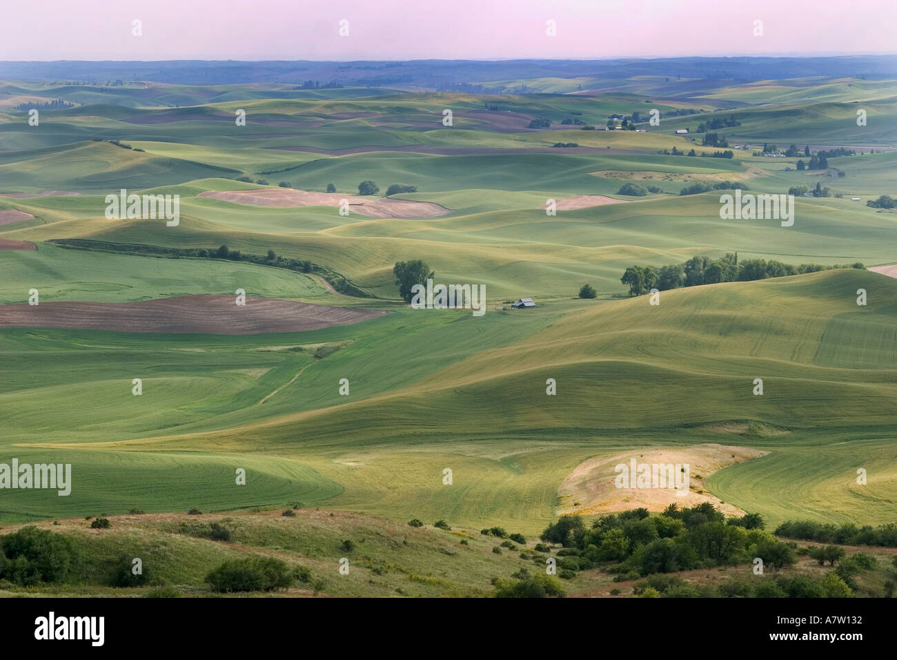 The rolling fields of the Palouse in northeastern Washington State are ...
