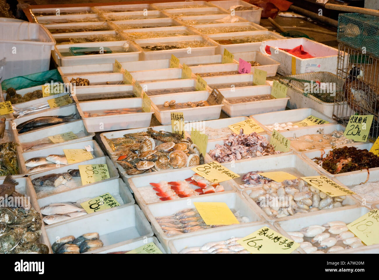 Trays of fresh produce for sale on street market stall in Shanghai ...