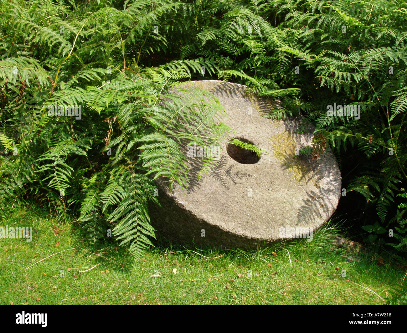 Millstones in Padley Gorge Stock Photo - Alamy