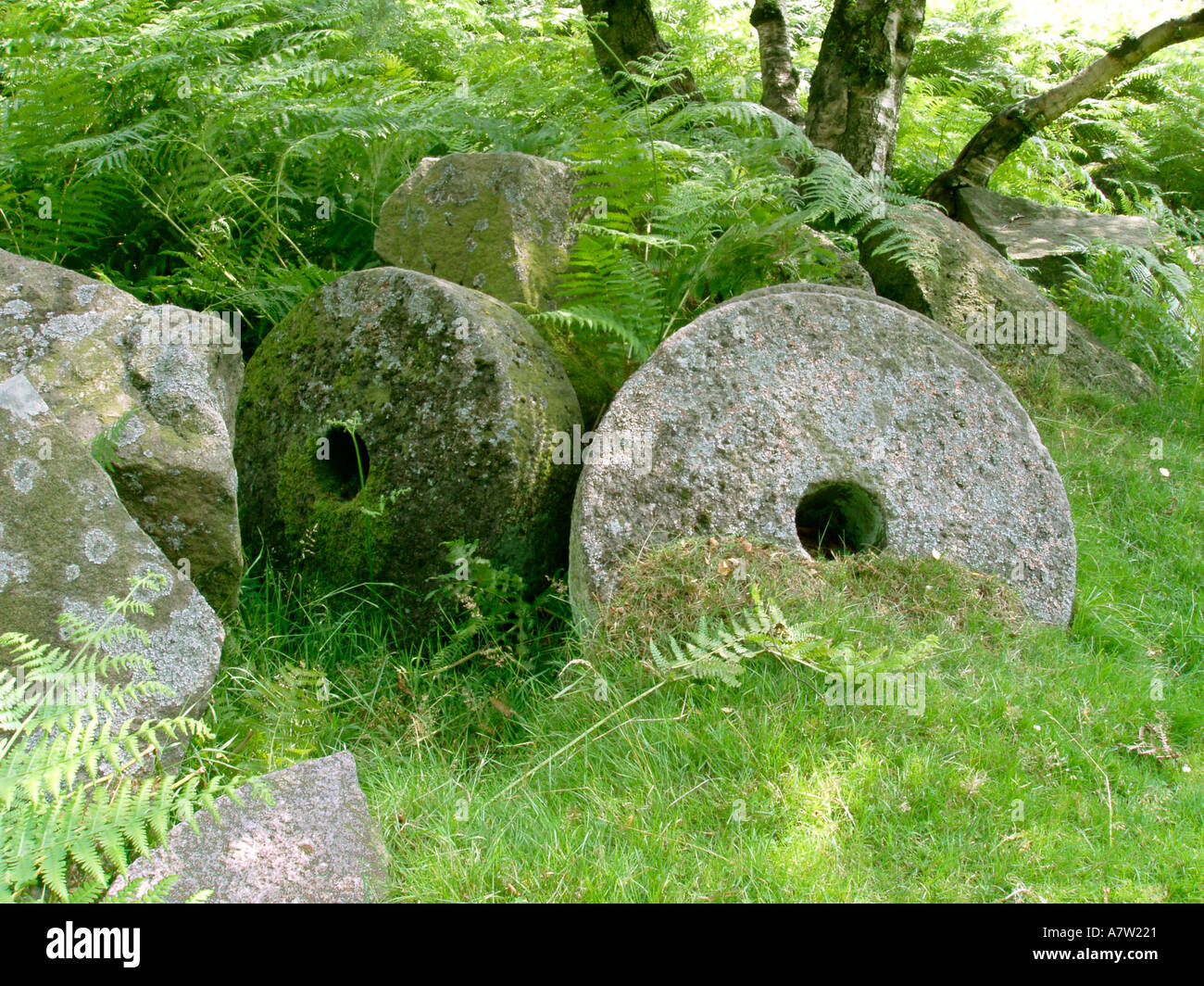 Millstones in Padley Gorge Stock Photo - Alamy