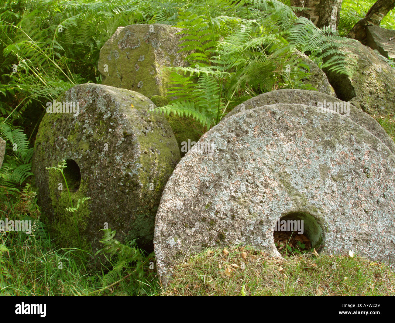 Padley gorge mill stones hi-res stock photography and images - Alamy