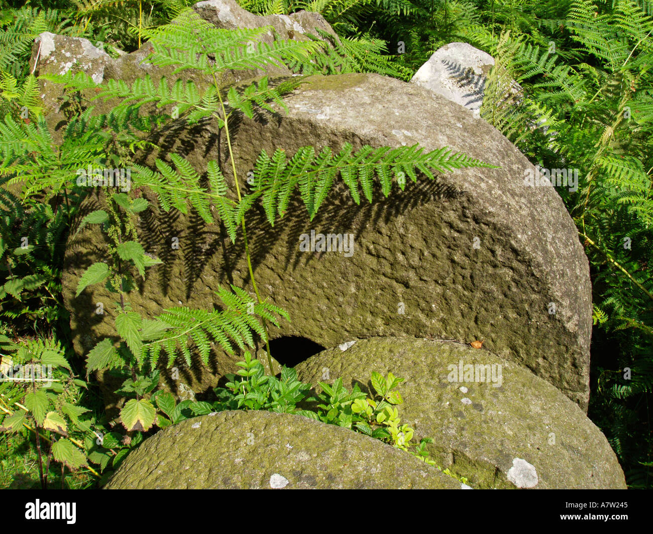 Padley gorge mill stones hi-res stock photography and images - Alamy
