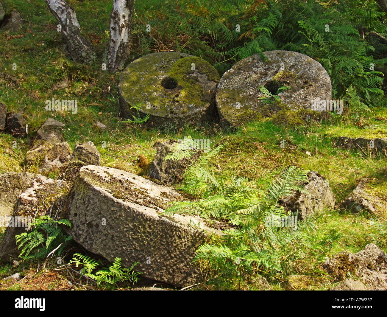 Abandoned Mill Stones in Padley Gorge Near Hathersage in the Peak ...