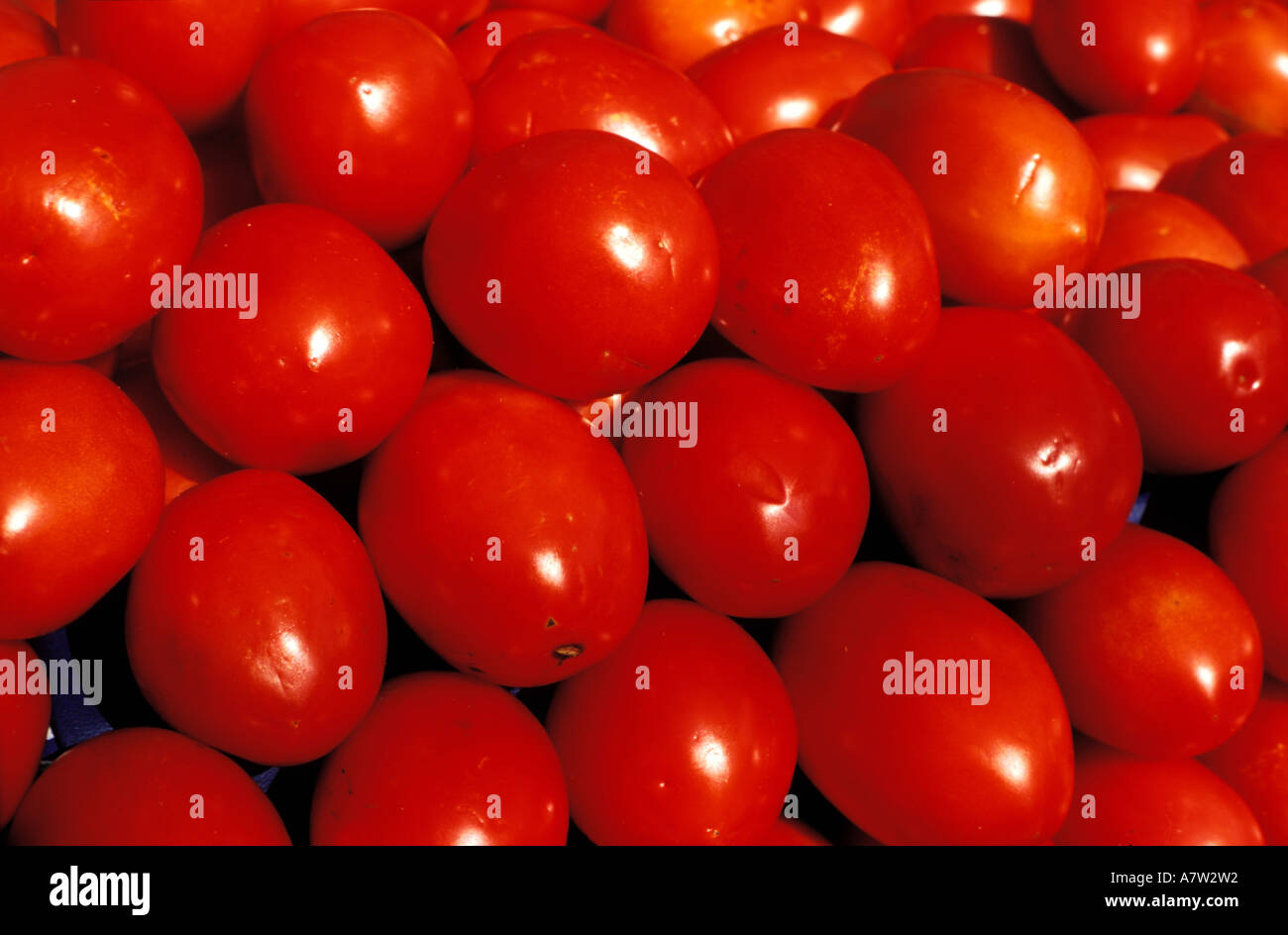 Mexico, Federal District, Mexico City, tomatoes Stock Photo - Alamy