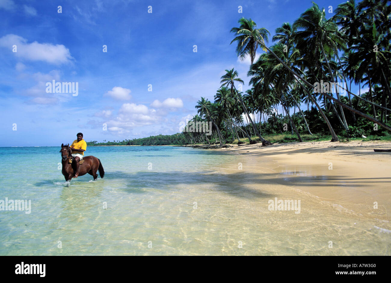 Fiji Islands, Viti Levu island, riding by horse on Nadi beach Stock ...