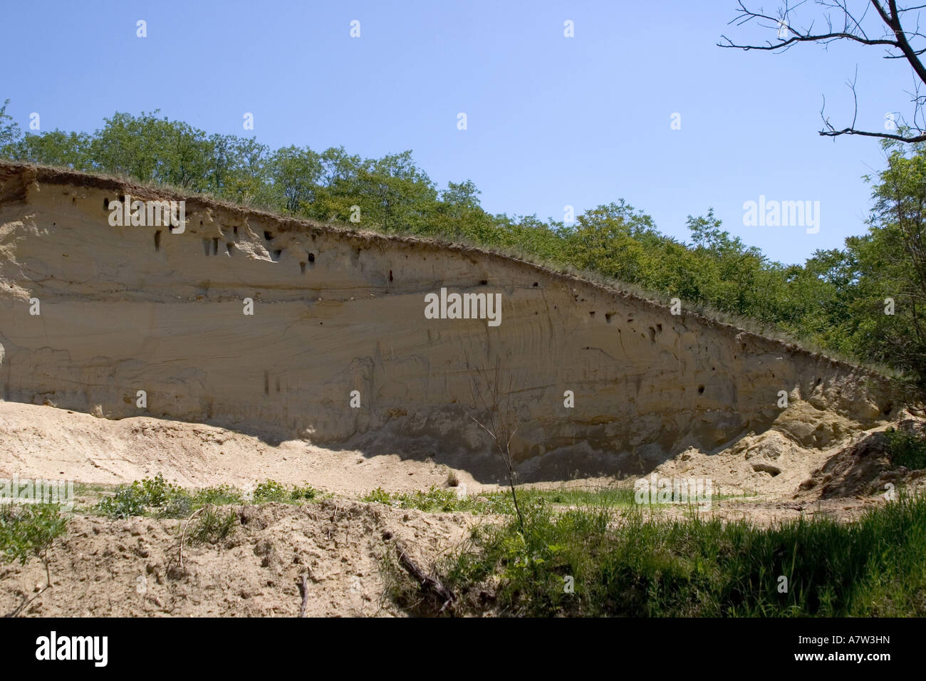 sand pit with breeding caves of the bee-eater, Austria, Burgenland ...
