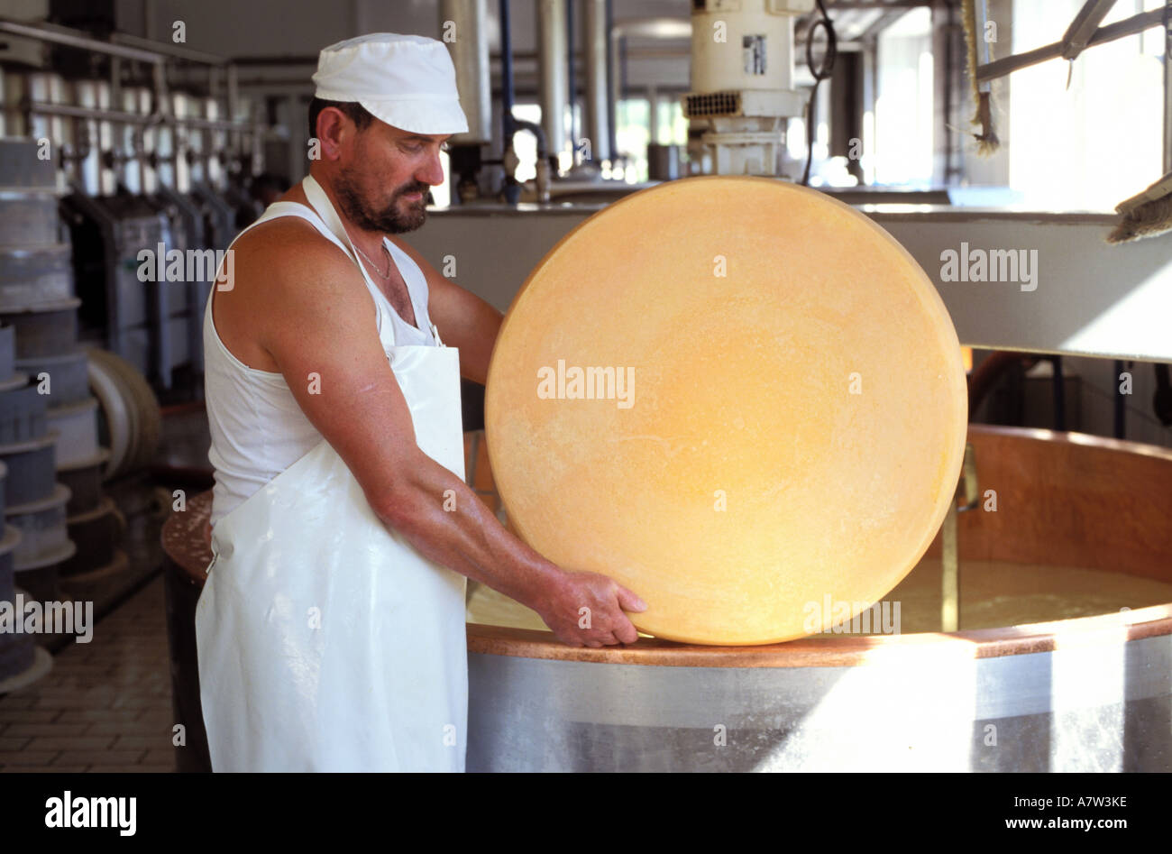 France, Jura, Les Chauvins, cheese wheel of Comte at Grand Vallier ...