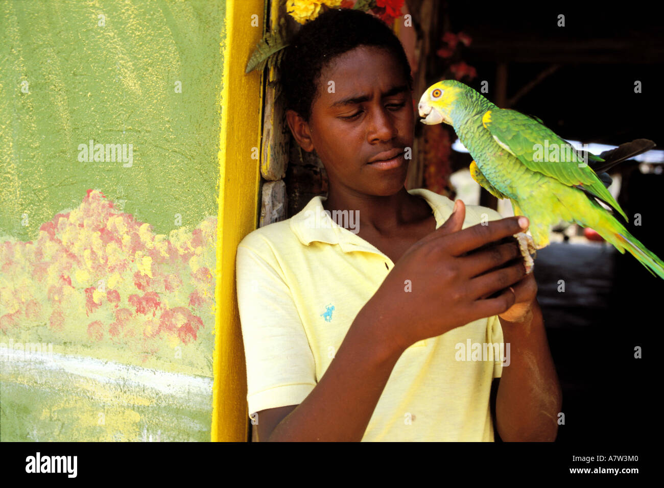 Netherland Antilles, Curacao island, Willemstad city, young boy and his ...