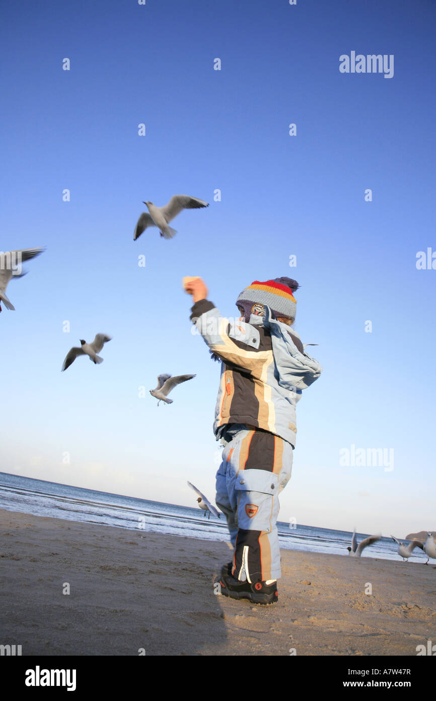 Boy pointing birds hi-res stock photography and images - Alamy