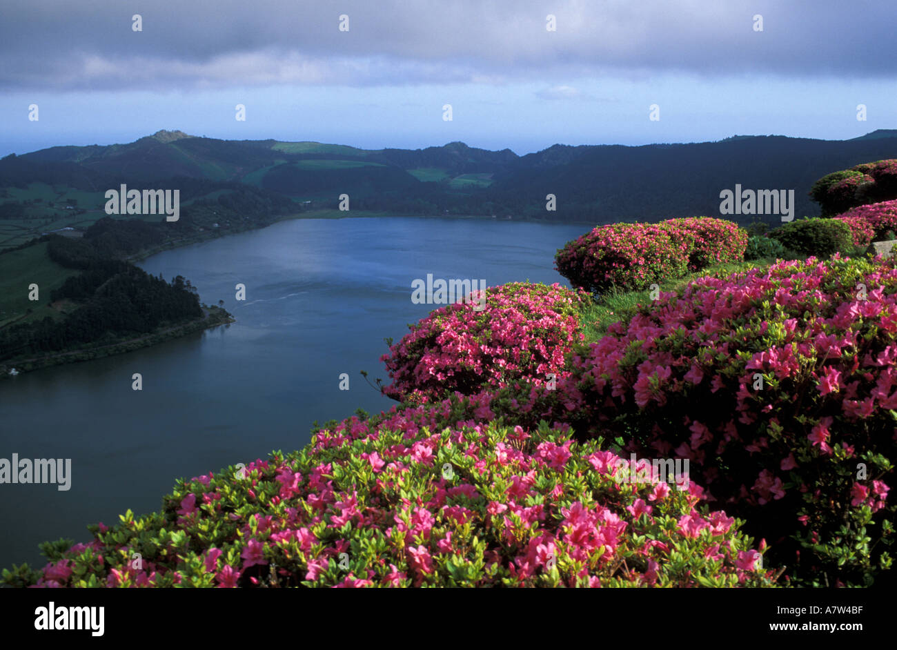 Azores, Sao Miguel, Furnas valley Stock Photo - Alamy
