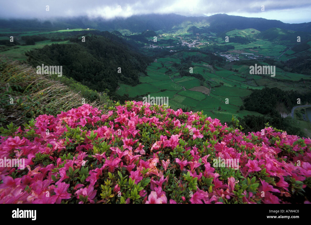Azores, Sao Miguel, Furnas valley Stock Photo - Alamy
