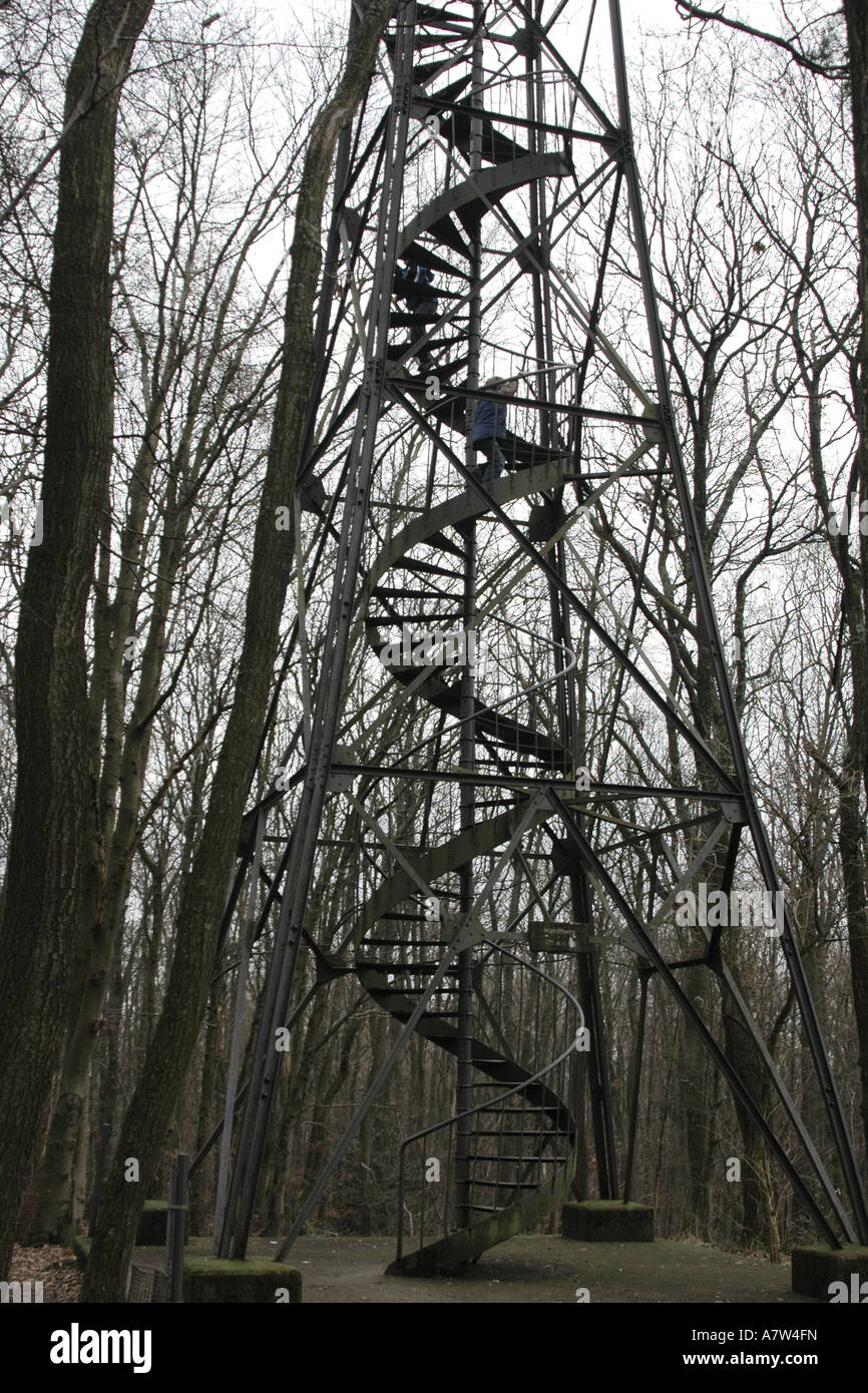 Hesse forest hi-res stock photography and images - Alamy