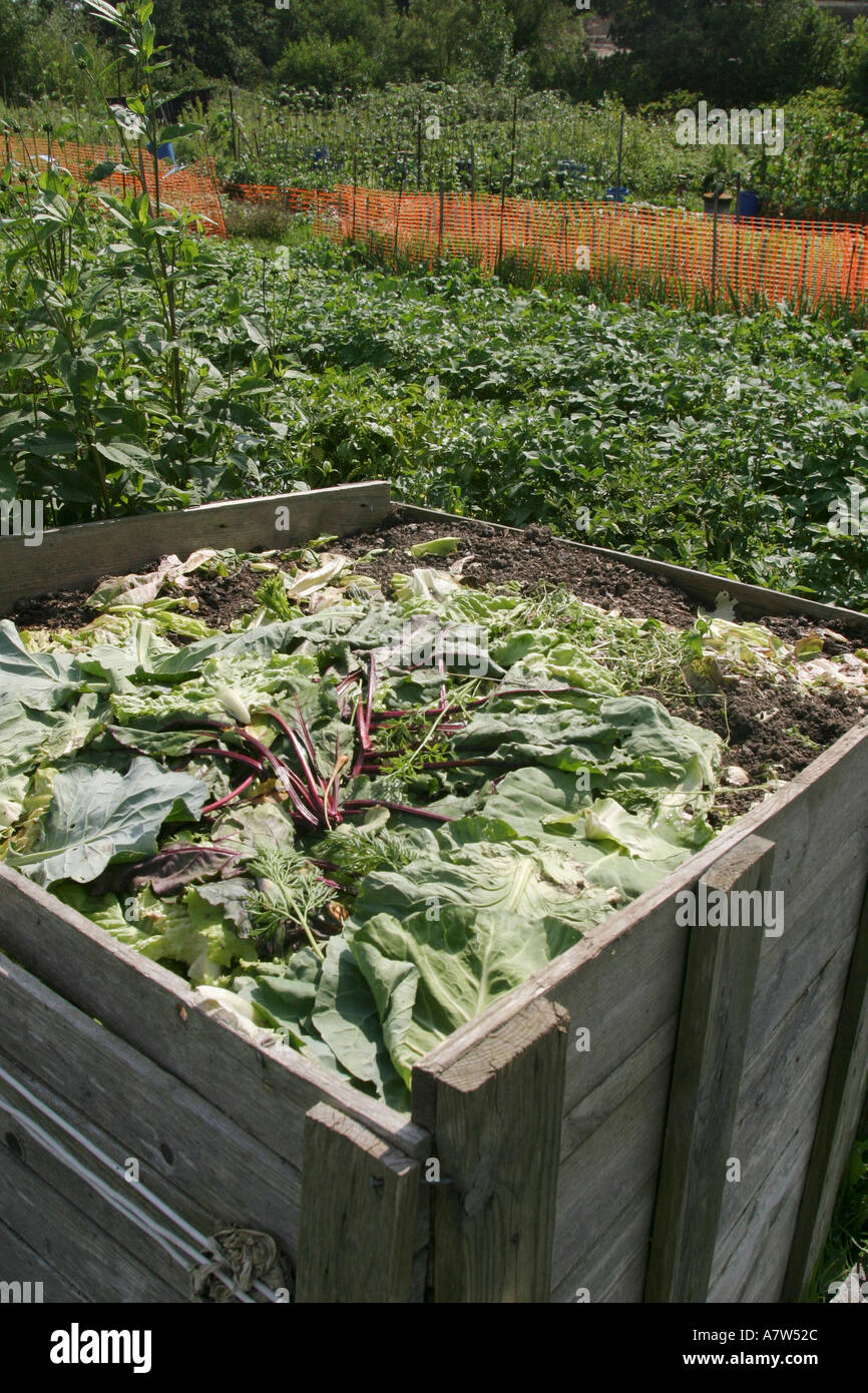 Welsh allotment gardening hi-res stock photography and images - Alamy