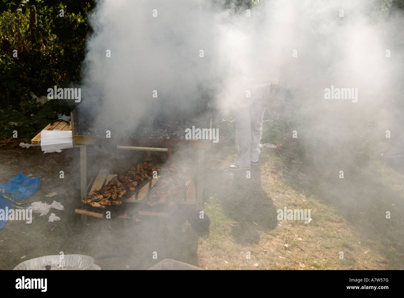 Barbeque smoking, young adult women, with a smokey BBQ, barbecuing ...