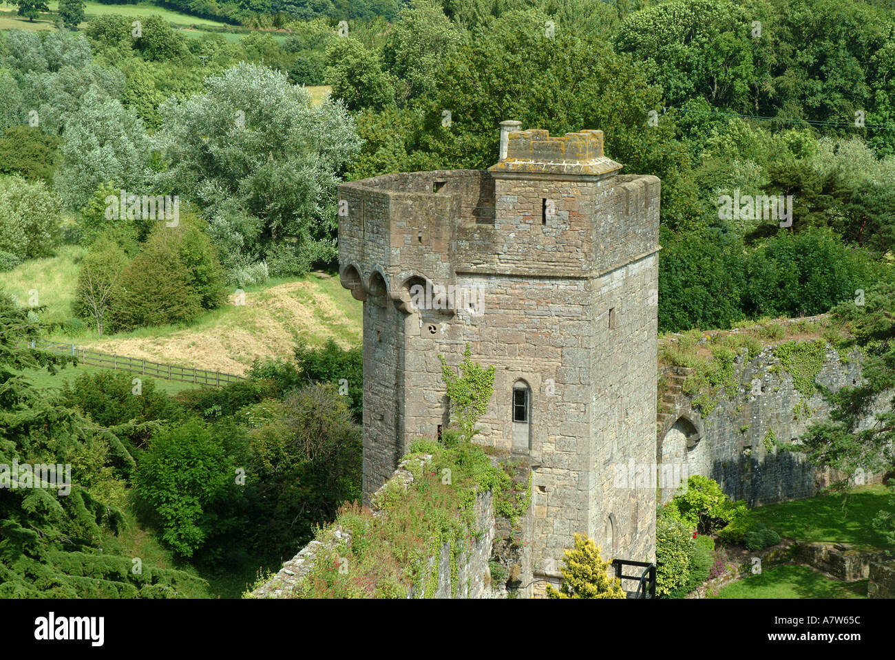 Woodstock Tower at Caldicot Castle Monmouthshire Gwent Stock Photo - Alamy