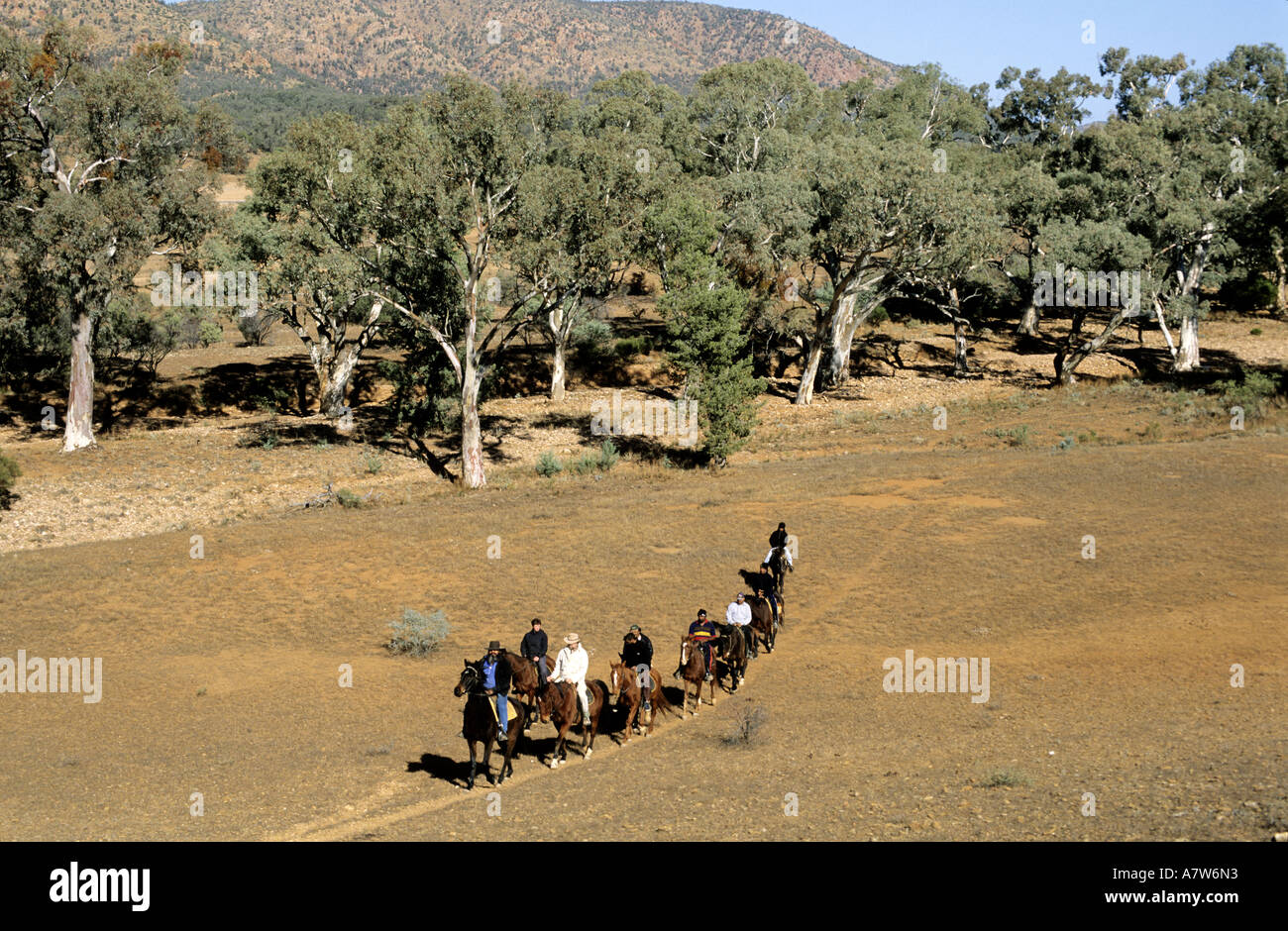 The gammons hi-res stock photography and images - Alamy