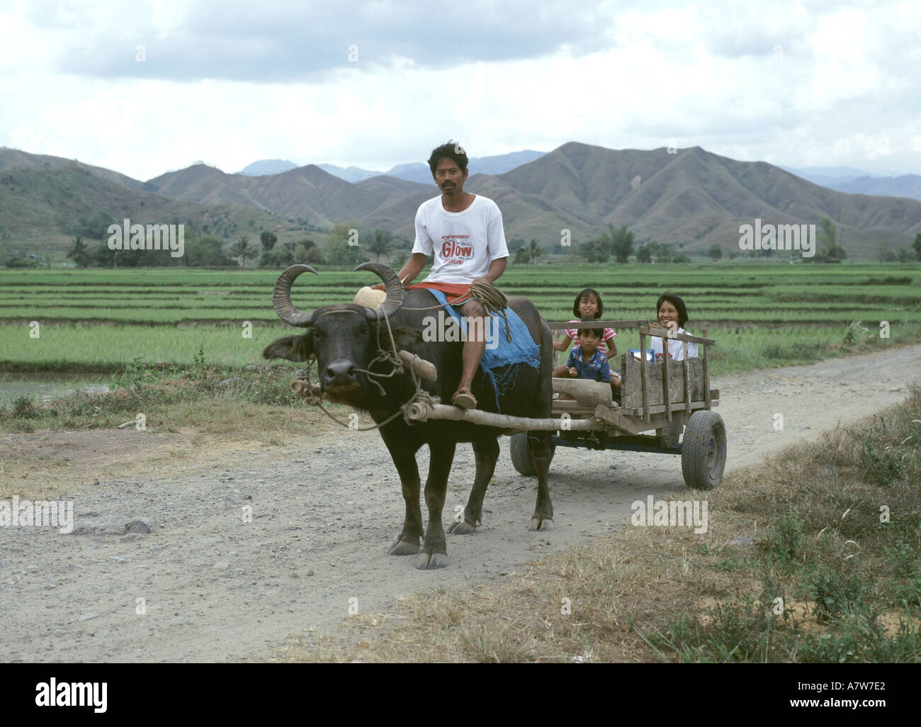 Philippines Water Buffalo cart and farming family Stock Photo - Alamy
