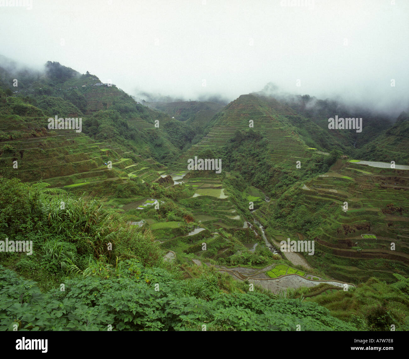 Banga an rice terraces hi-res stock photography and images - Alamy