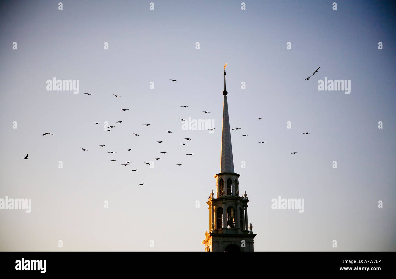 Doves flying over church stable at sunset Newburyport Massachusetts USA ...