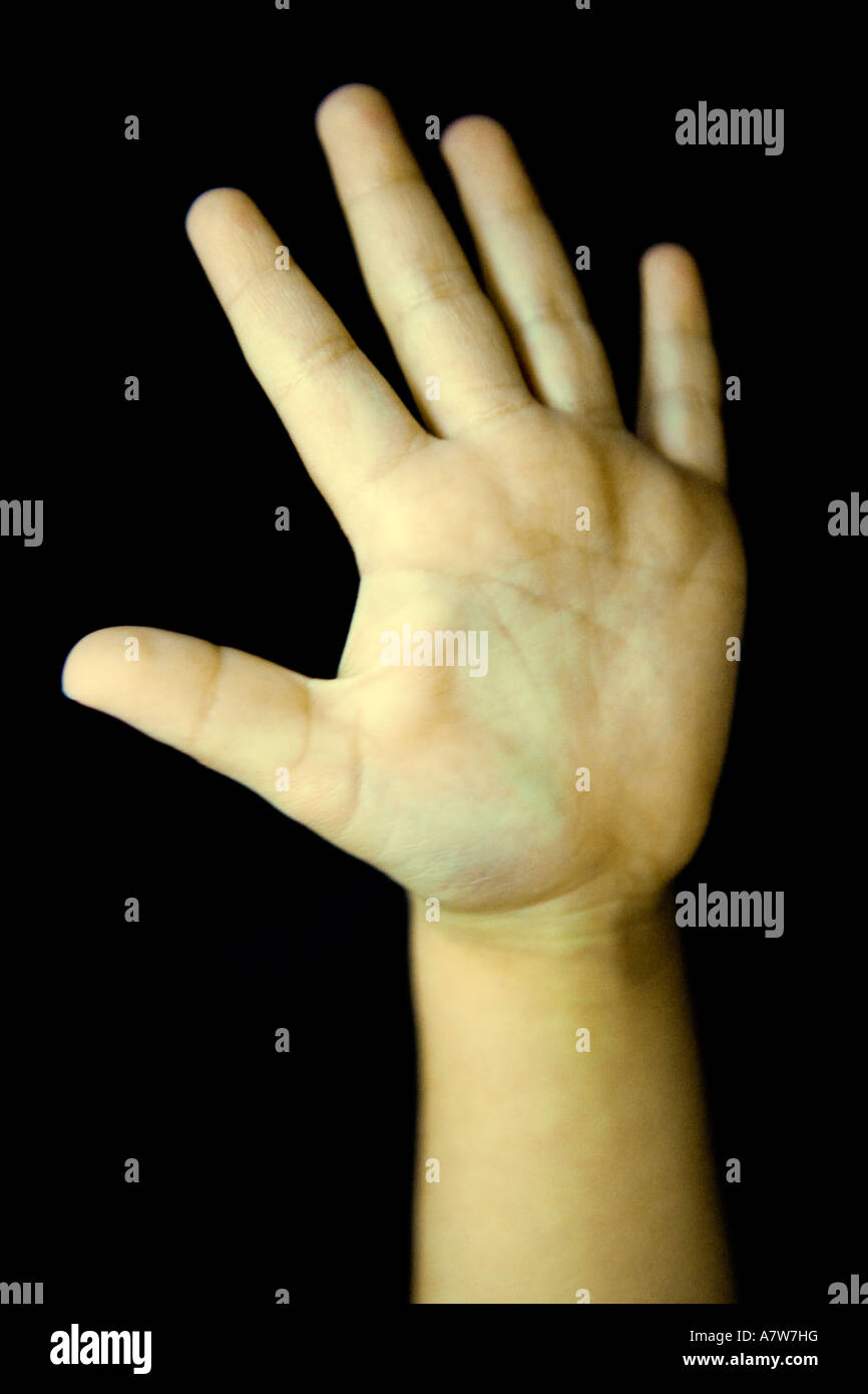 Pentadactyl limb hi-res stock photography and images - Alamy