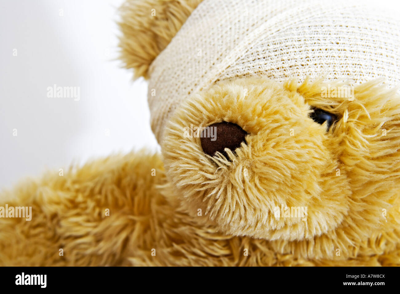 Teddy bear bandaged head hi-res stock photography and images - Alamy