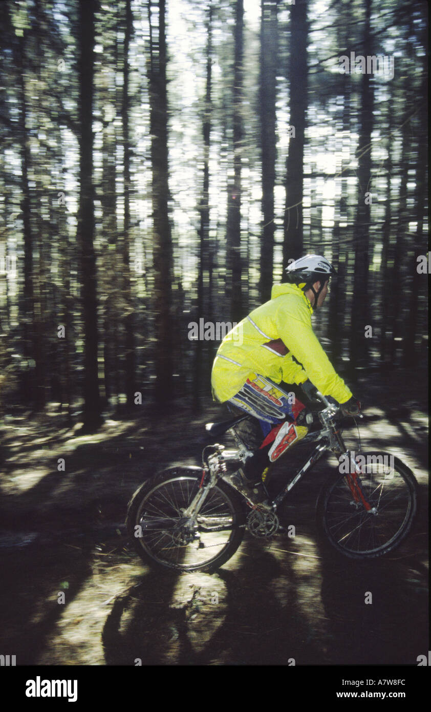 Dark bike path in the forest hi-res stock photography and images - Alamy