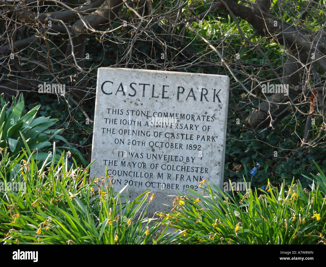 Colchester castle park 100th anniversary headstone Stock Photo - Alamy