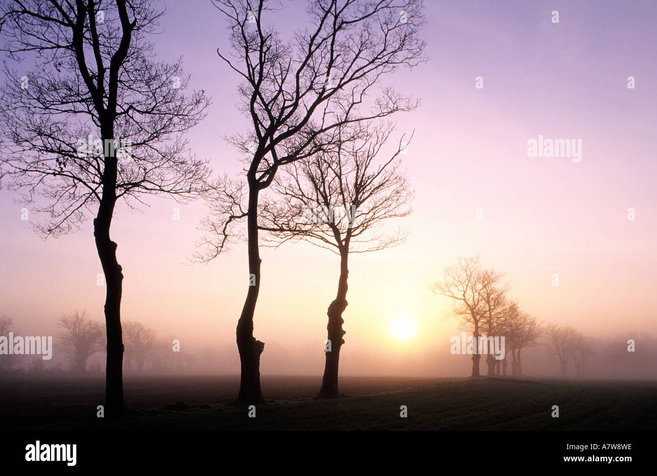 Allier dep hi-res stock photography and images - Alamy