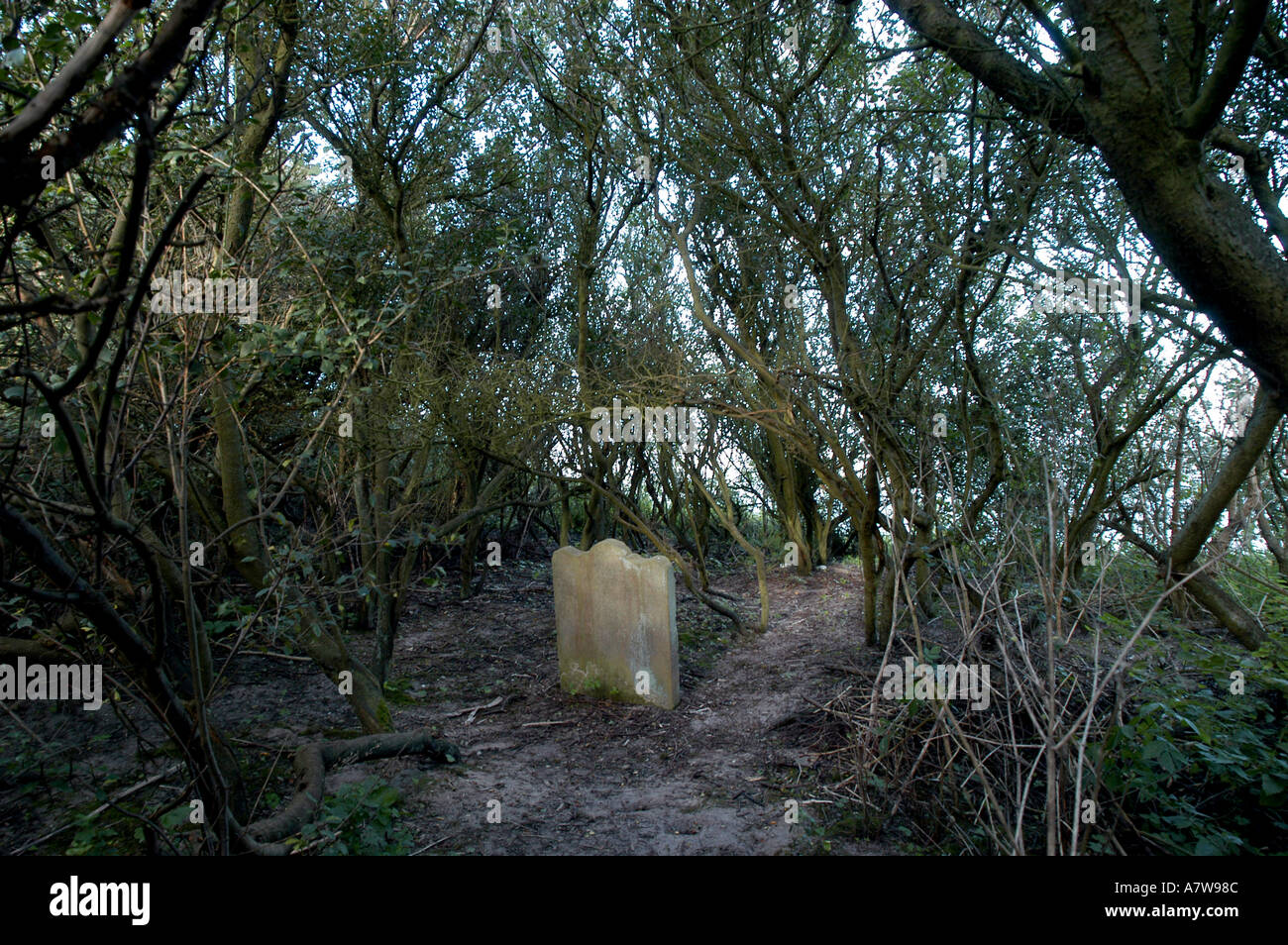 Dunwich ruins hi-res stock photography and images - Alamy