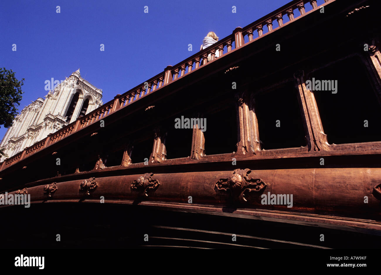 France, Paris, Double bridge and Notre Dame cathedral Stock Photo - Alamy