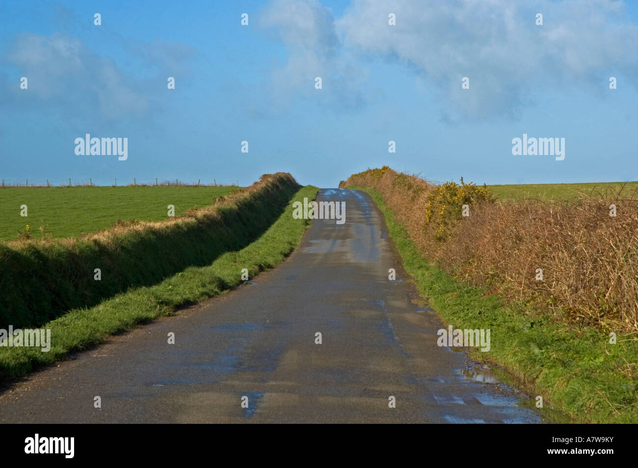 the road to nowhere,an empty and deserted country lane in cornwall ...
