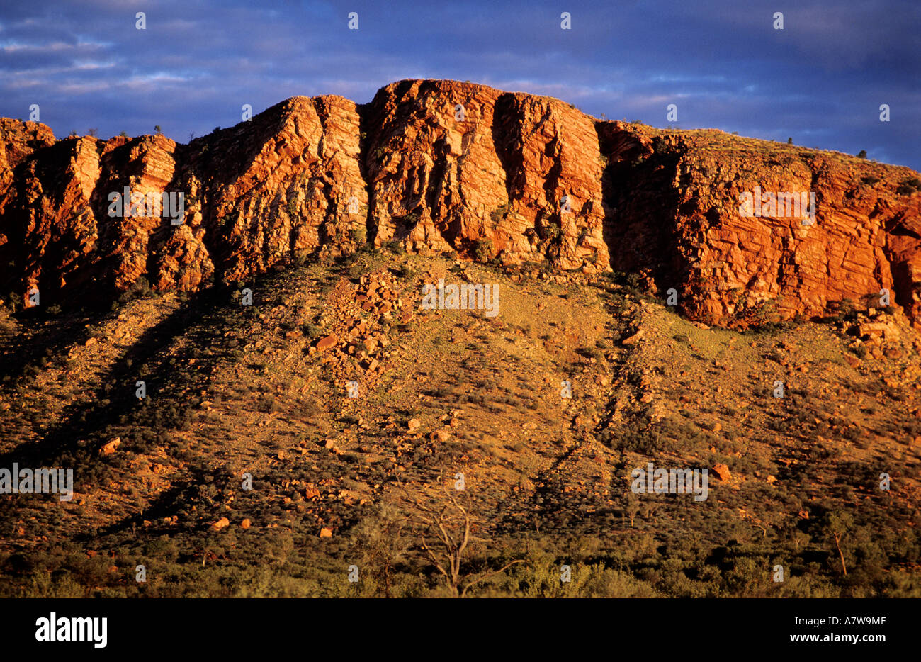 Mac donnell ranges australia hi-res stock photography and images - Alamy