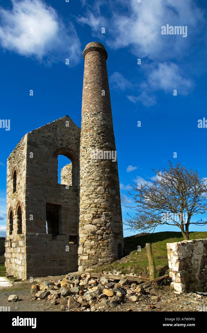 a restored tin mine near redruth,cornwall,england Stock Photo - Alamy
