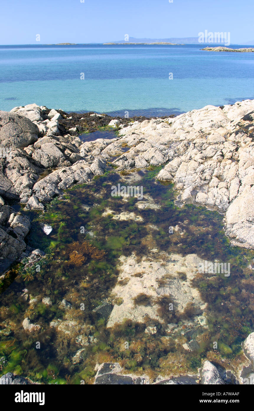 Rockpool in the sun Stock Photo - Alamy