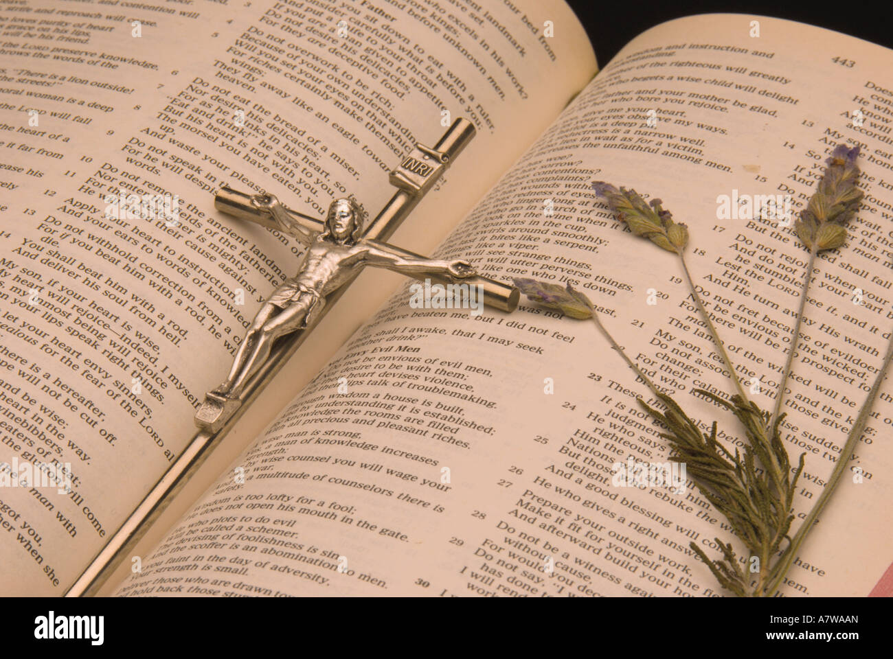 Pressed lavender flowers with Christian holy bible and cross Stock ...