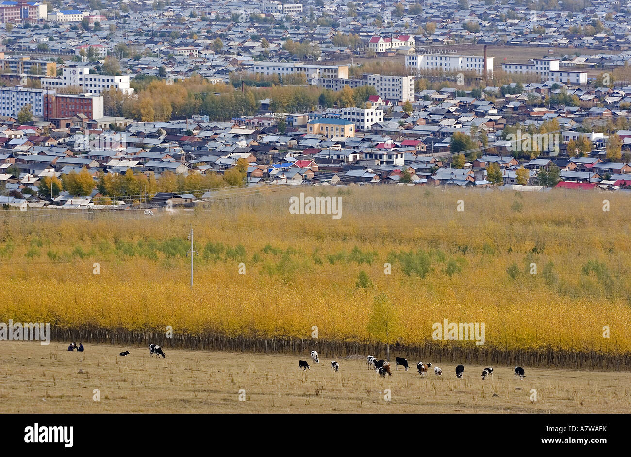 Erguna Inner Mongolian Autonomous Region in northeast China Stock Photo ...