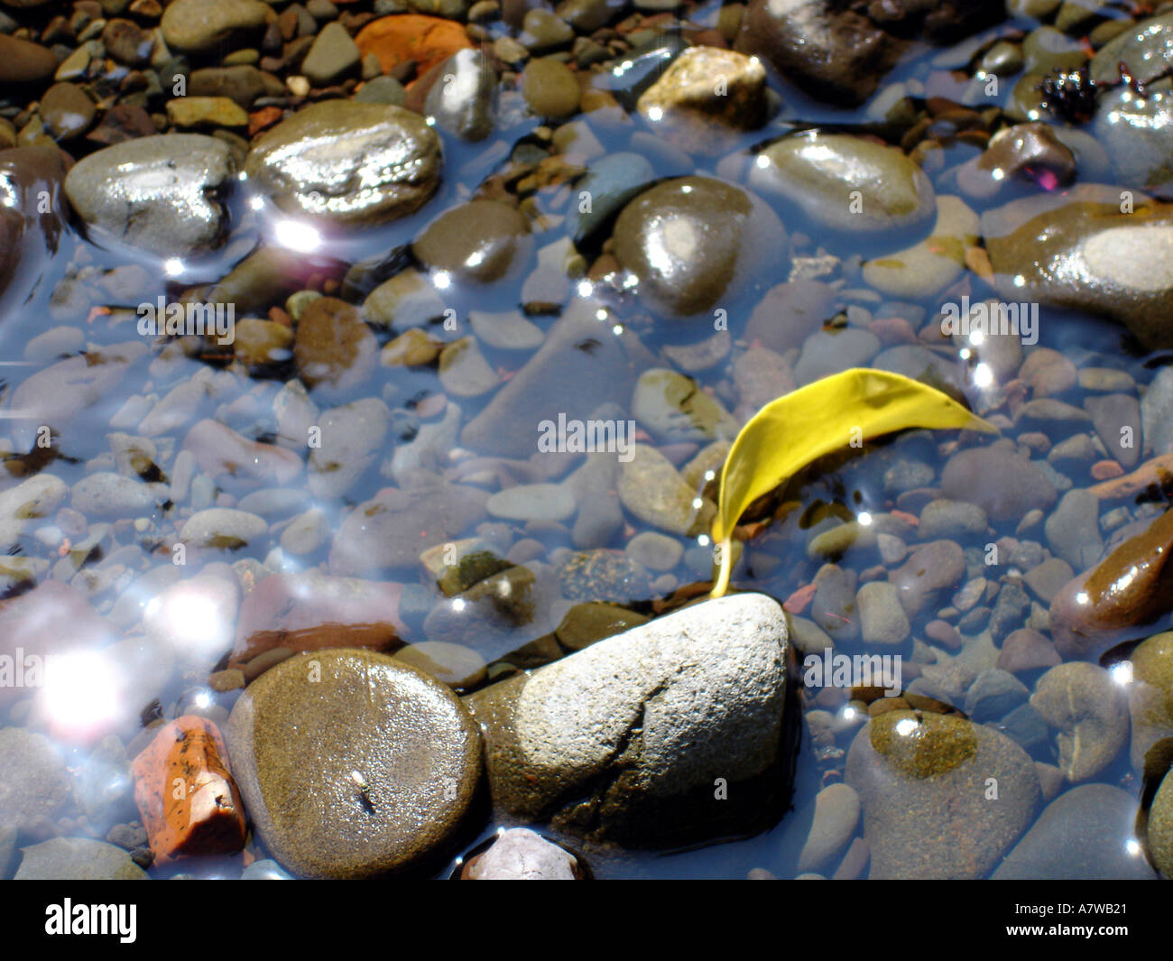 River Stinchar Scotland Stock Photo - Alamy