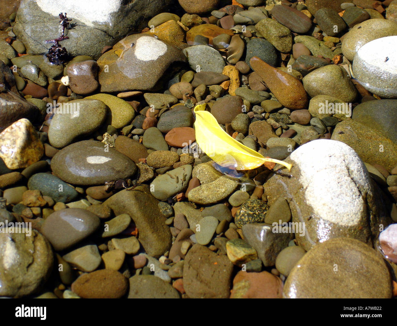 River Stinchar Scotland Stock Photo - Alamy