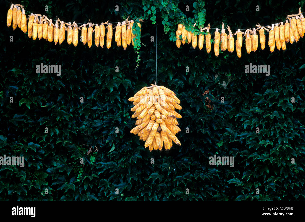 Corn decorating a house hi-res stock photography and images - Alamy