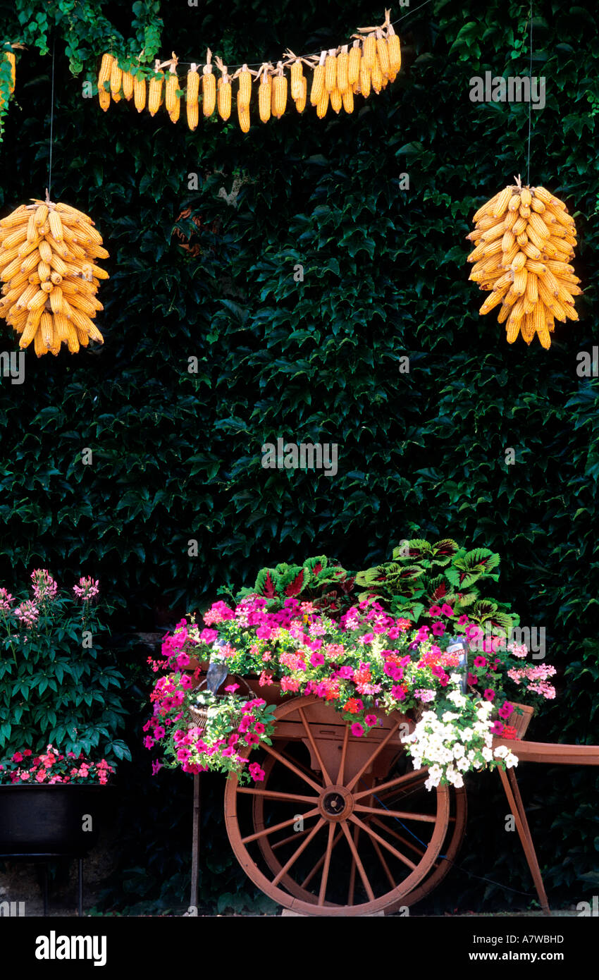 Corn decorating a house hi-res stock photography and images - Alamy