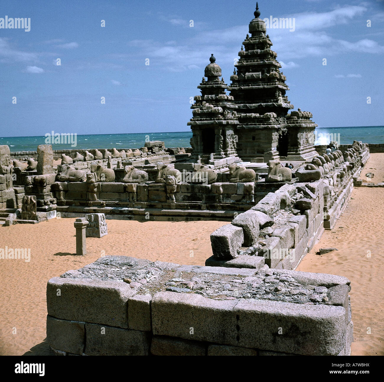 Palava dynasty hi-res stock photography and images - Alamy