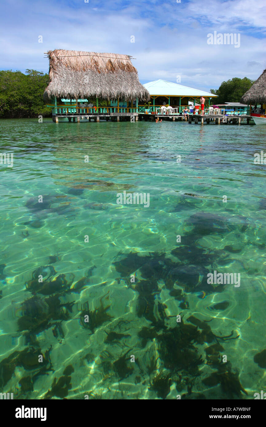 Coral Key Cayo Coral Bocas del Toro Panama Stock Photo - Alamy
