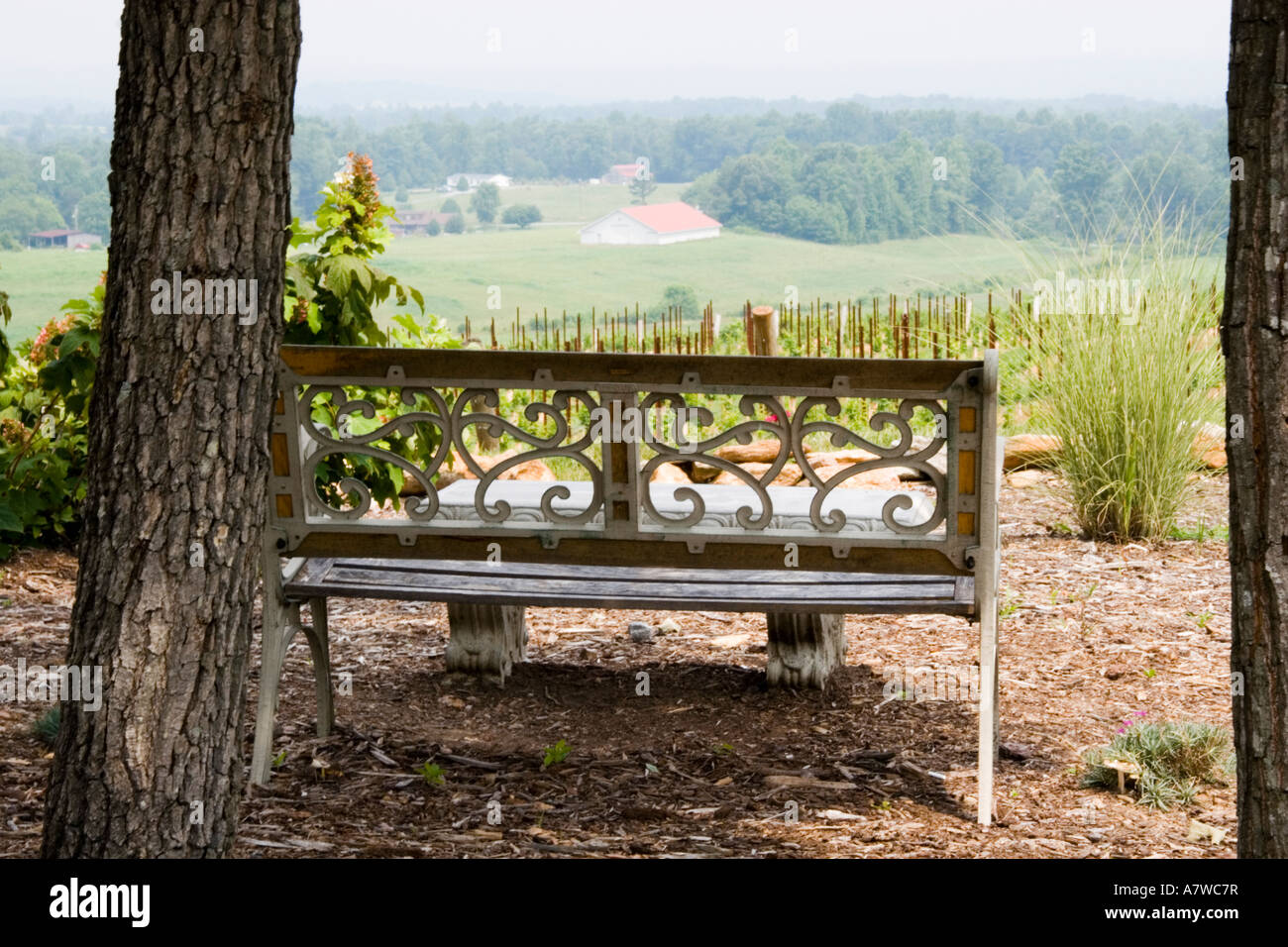 Bench overlooking countryside Stock Photo - Alamy