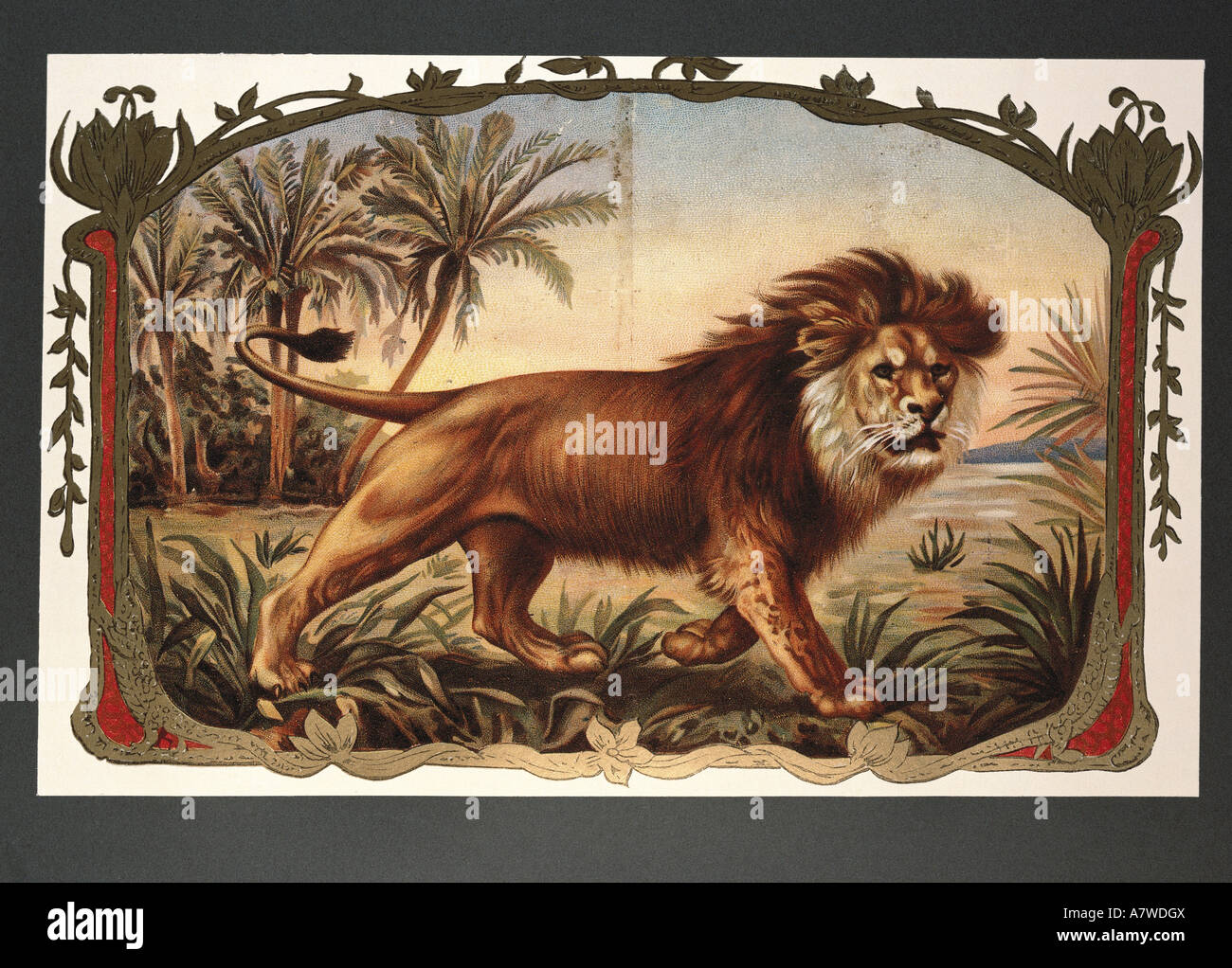 advertising, tobacco, cigars, lion, cigar box picture, lithograph ...