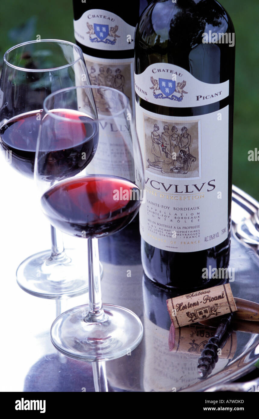 France, Gironde, tasting a glass of chateau Hostens Picant, Bordelais ...